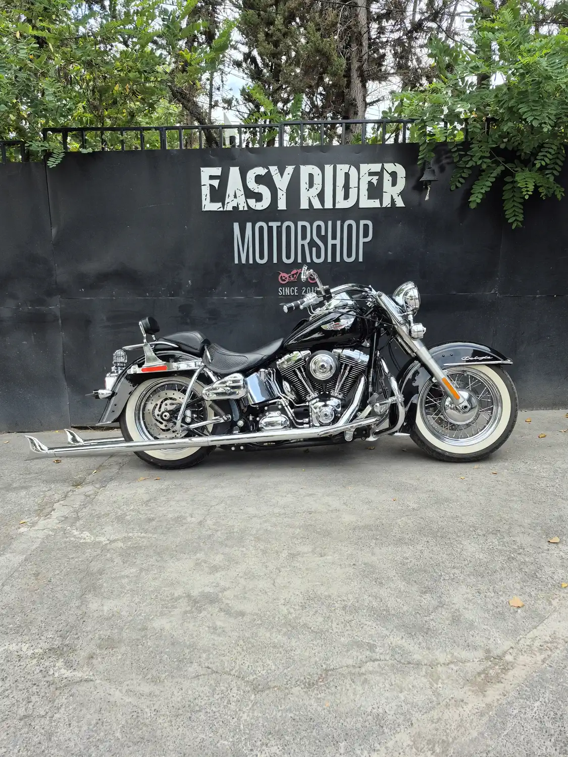 Motos archivos - EASY RIDER MOTOR SHOP