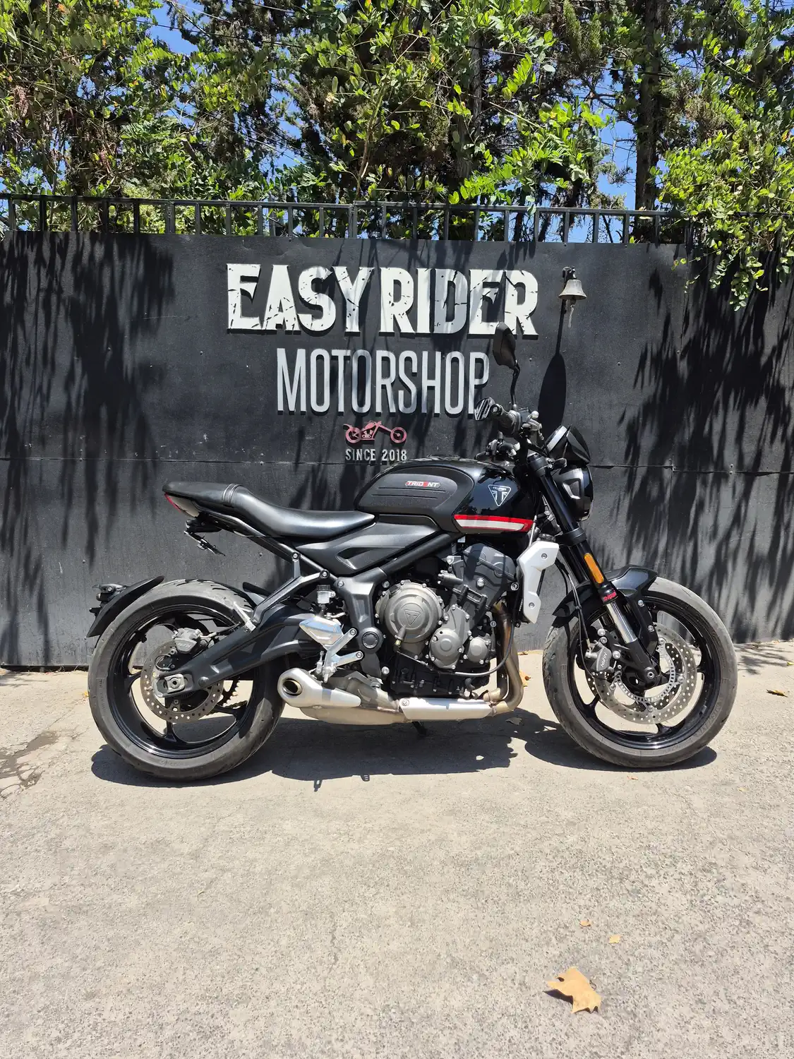 TRIUMPH TRIDENT 660 2024 - EASY RIDER MOTOR SHOP