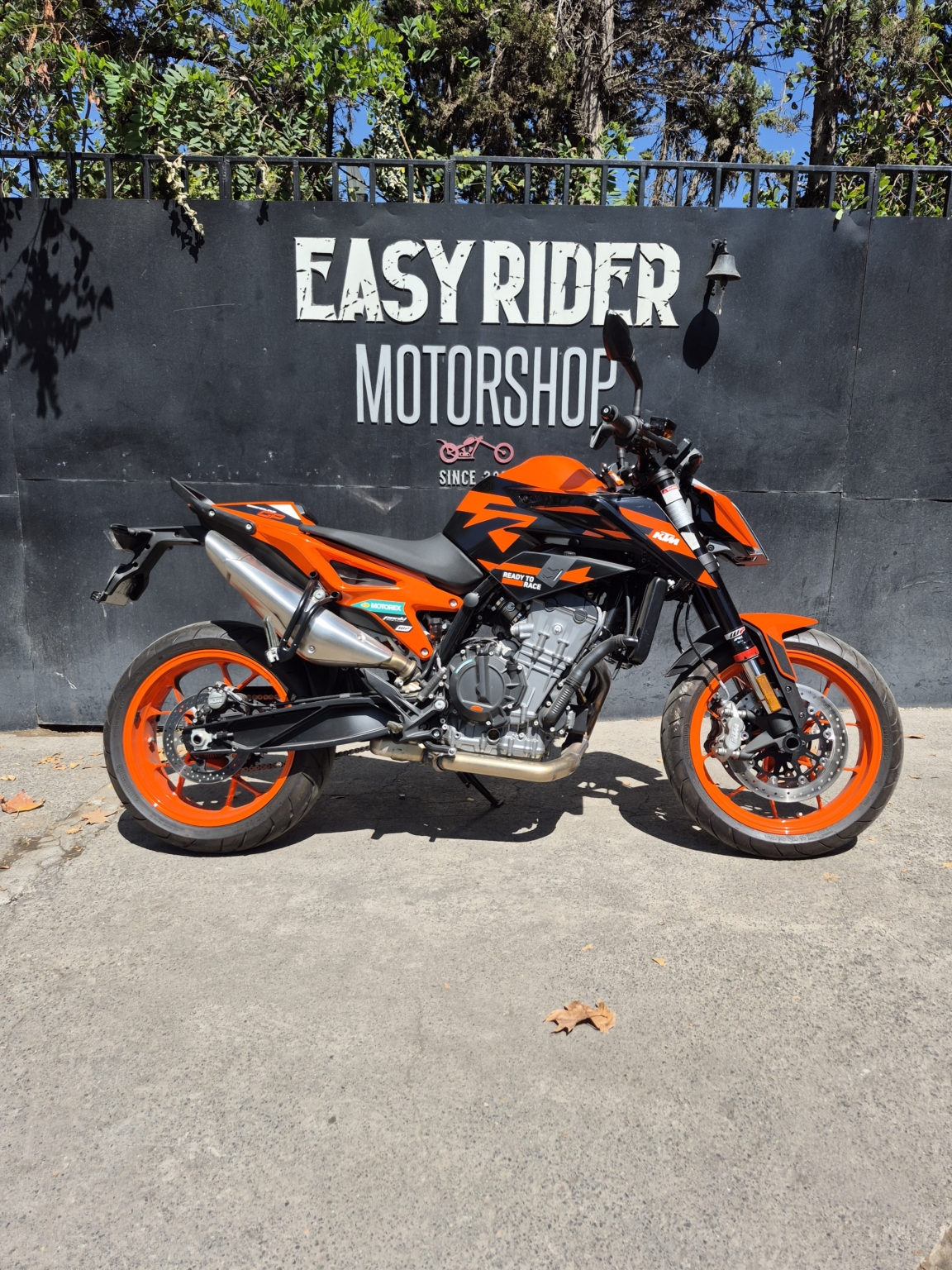 Motos archivos - EASY RIDER MOTOR SHOP